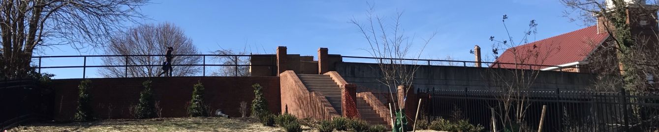 20180218-bridge – Information Charlottesville