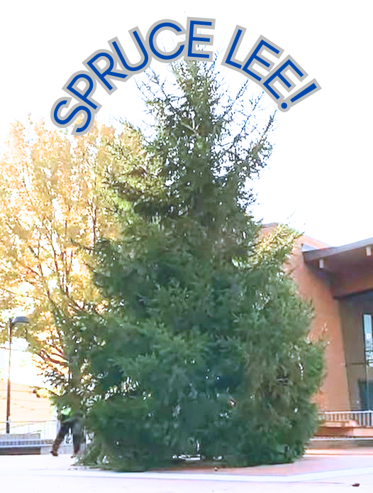 Charlottesville uses ranked-choice voting to select name for holiday ...